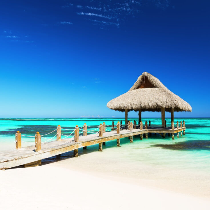 Punta Cana Will Speed Up Airport Arrivals With New High Tech X Ray ...