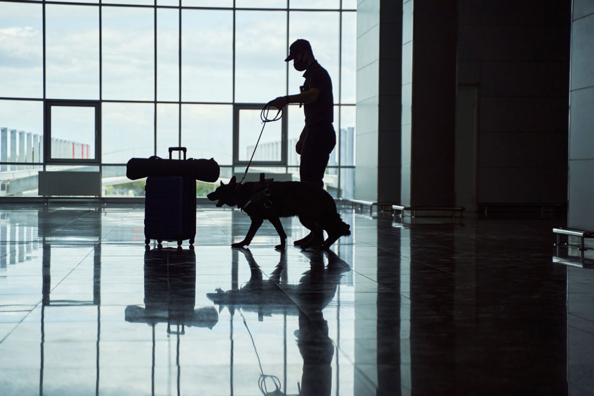 Dominican Republic Airport Security To Increase Over The Holidays To ...