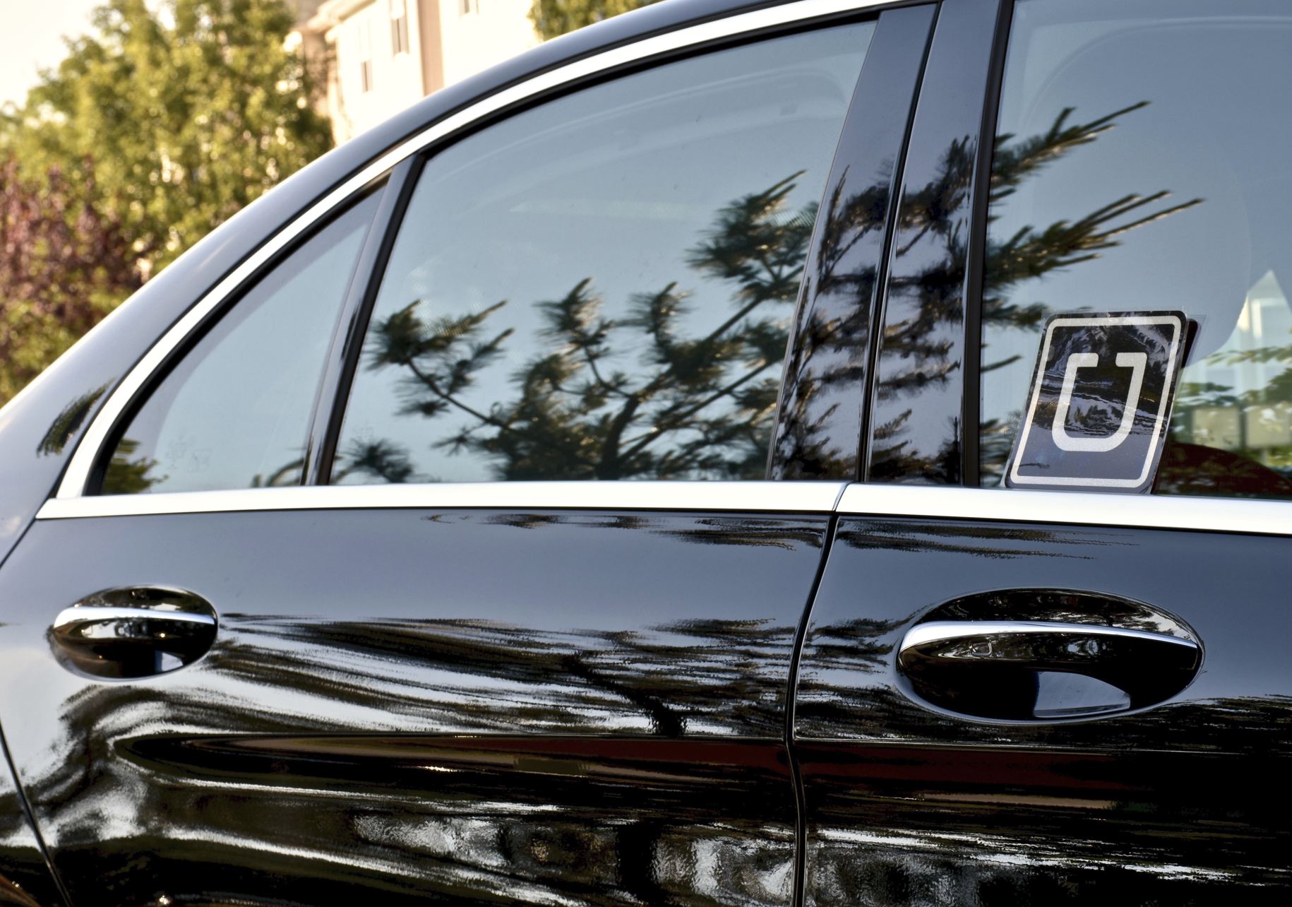 5 Red Flags to Watch Out For When Booking Punta Cana Airport Transfers ...